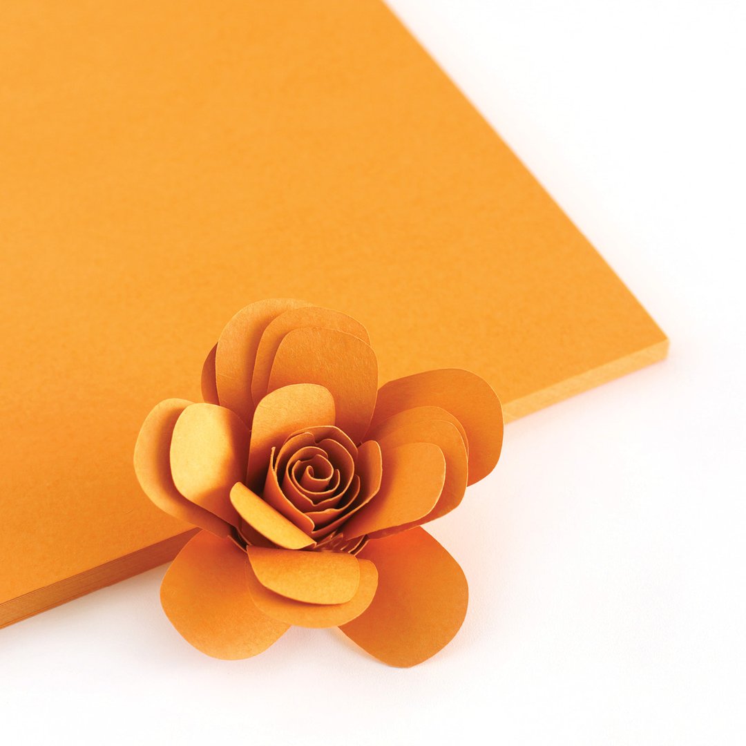 Melon Orange Ink Pad - The Stamp Market – My Perfect Stamp